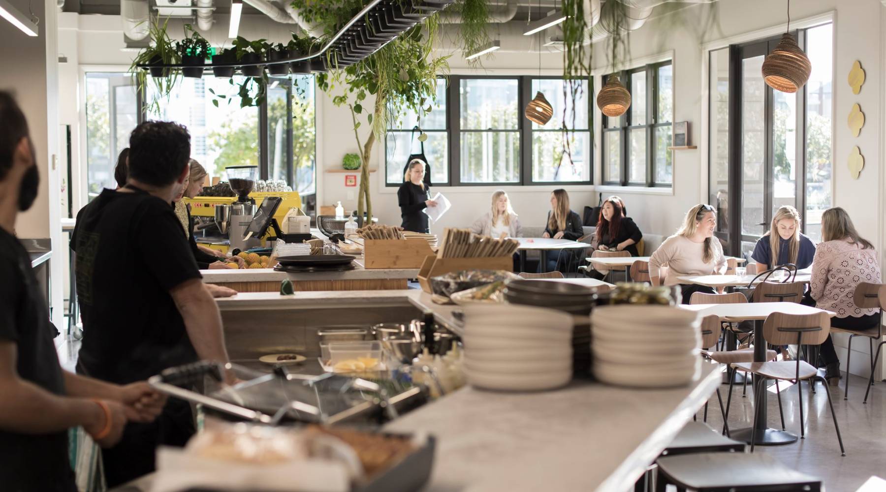 Are Cafes Open At Level 3 Lifescienceglobal are-cafes-open-at-level-3-lifescienceglobal